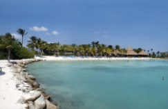 Home [www.flyslm.com]